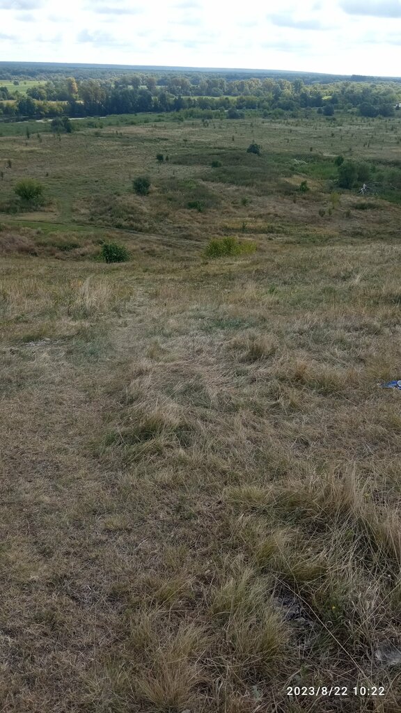 Seyir terası Смотровая площадка, Saratovskaya oblastı, foto