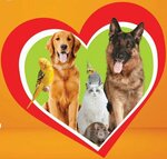 Котофей (ulitsa Uritskogo No:34), pet otel  Bogoroditsk'ten