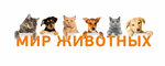Мир Животных (Naro-Fominskaya Street No:17), petshop  Moskova'dan