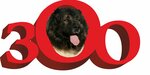 Зоомагазин (Khersonskaya Street No:53А), petshop  Gelencik'ten