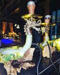 Aficionado (21A, Al Jreena Street, Al Quoz Industrial 3, Al Quoz Industrial, Hadaeq Mohammed Bin Rashid, Dubai), tütün, sigara mağazaları