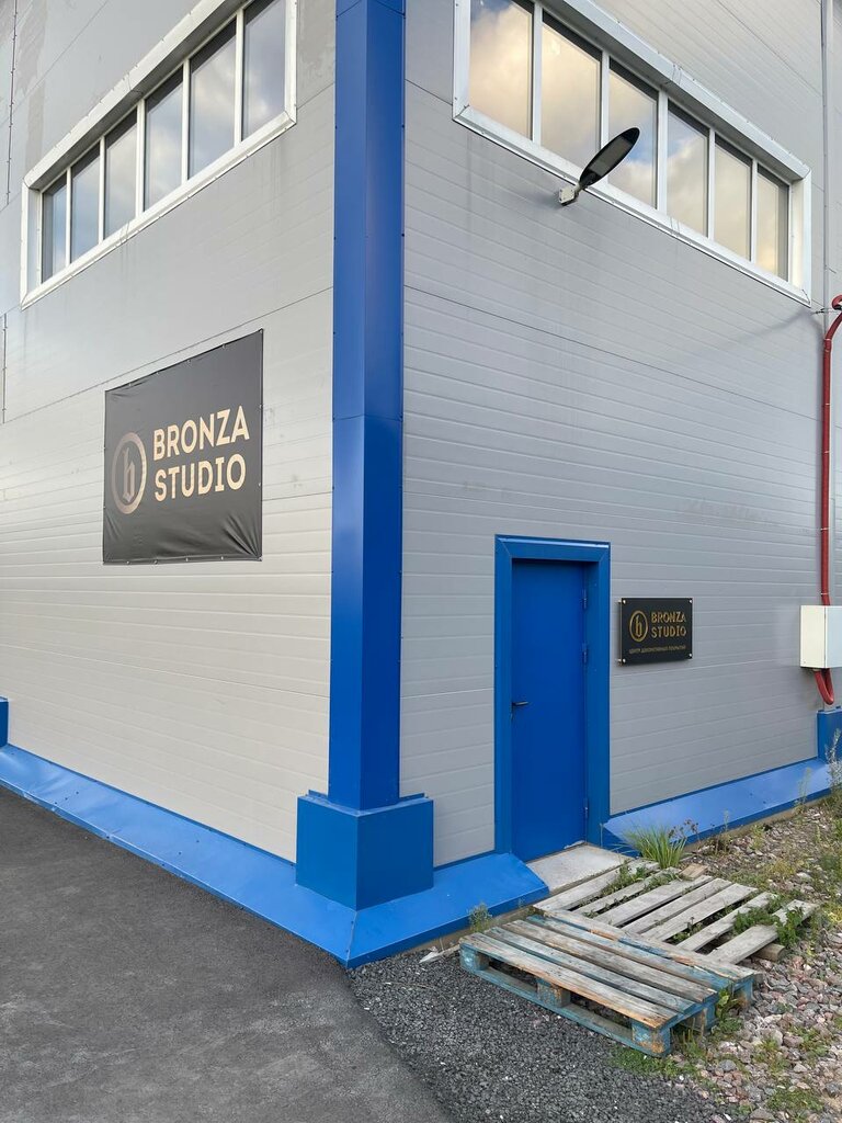 Kaplama hizmetleri BronzaStudio, Saint‑Petersburg ve Leningradskaya oblastı, foto