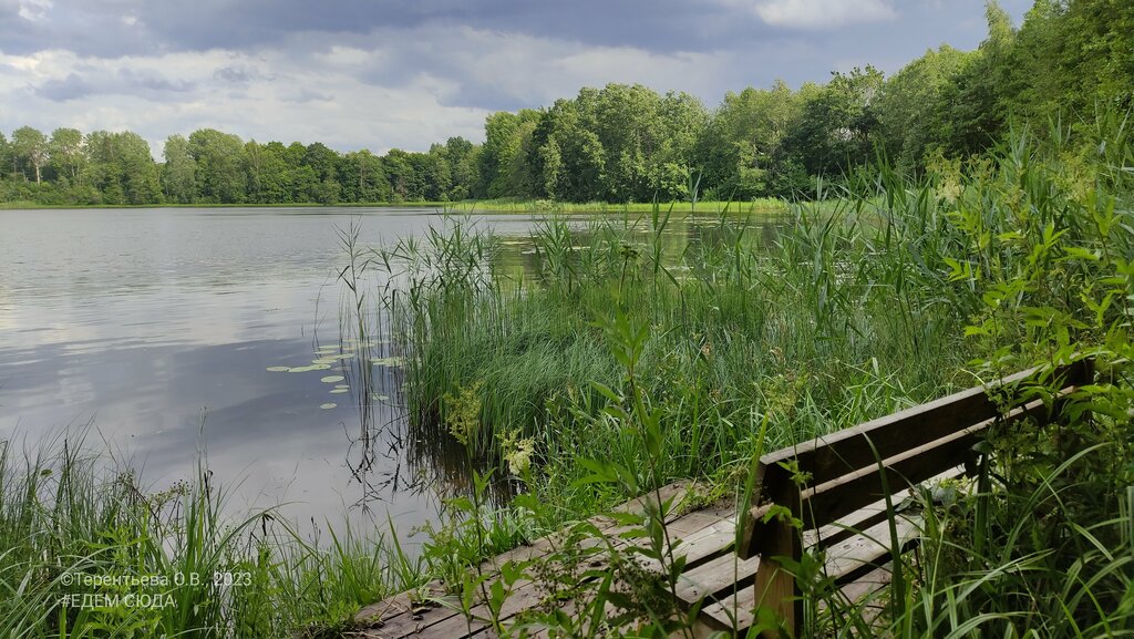 Turistik yerler Усадьба Ильжо, Saint‑Petersburg ve Leningradskaya oblastı, foto