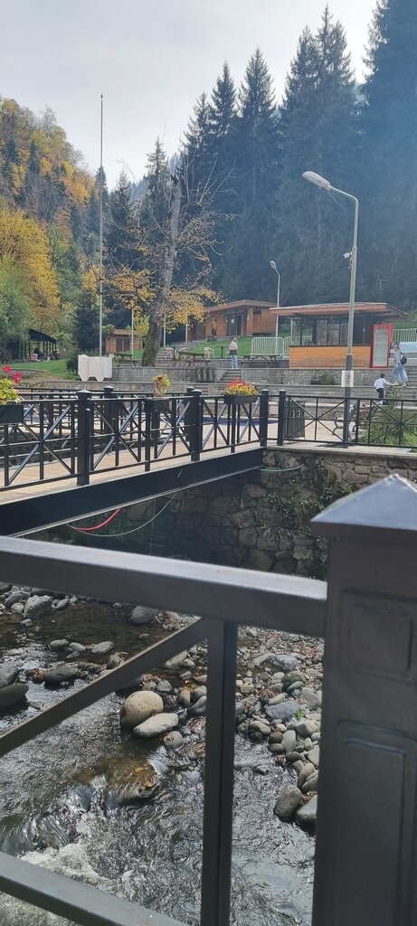Kiralama noktası ბორჯომის გოგირდის აუზები • Borjomi Sulfur Pools, , foto