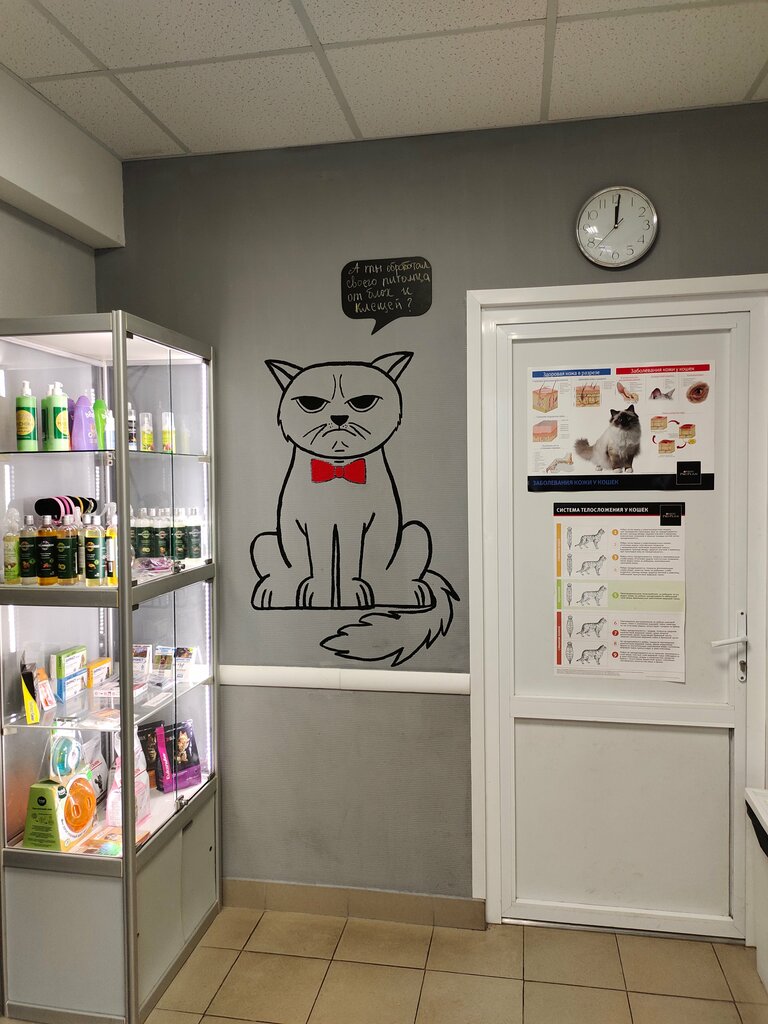 Veteriner klinikleri Zoovet, Sergiyev Posad, foto