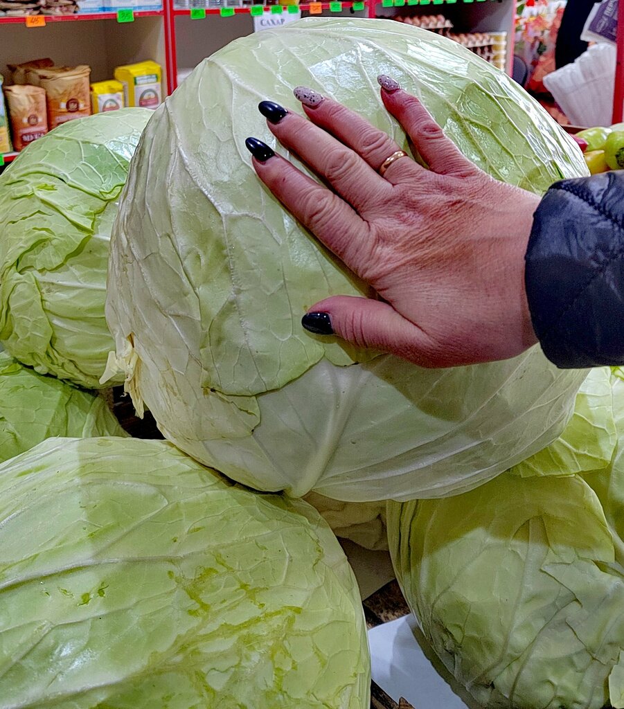 Manavlar Абрикос, Mikhaylovsk, foto