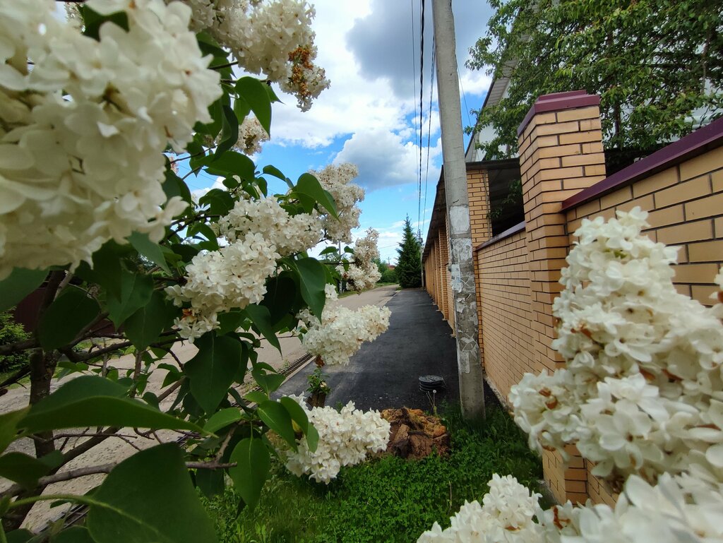 Pansiyonlar, hosteller Cassiopeia, Domodedovo, foto