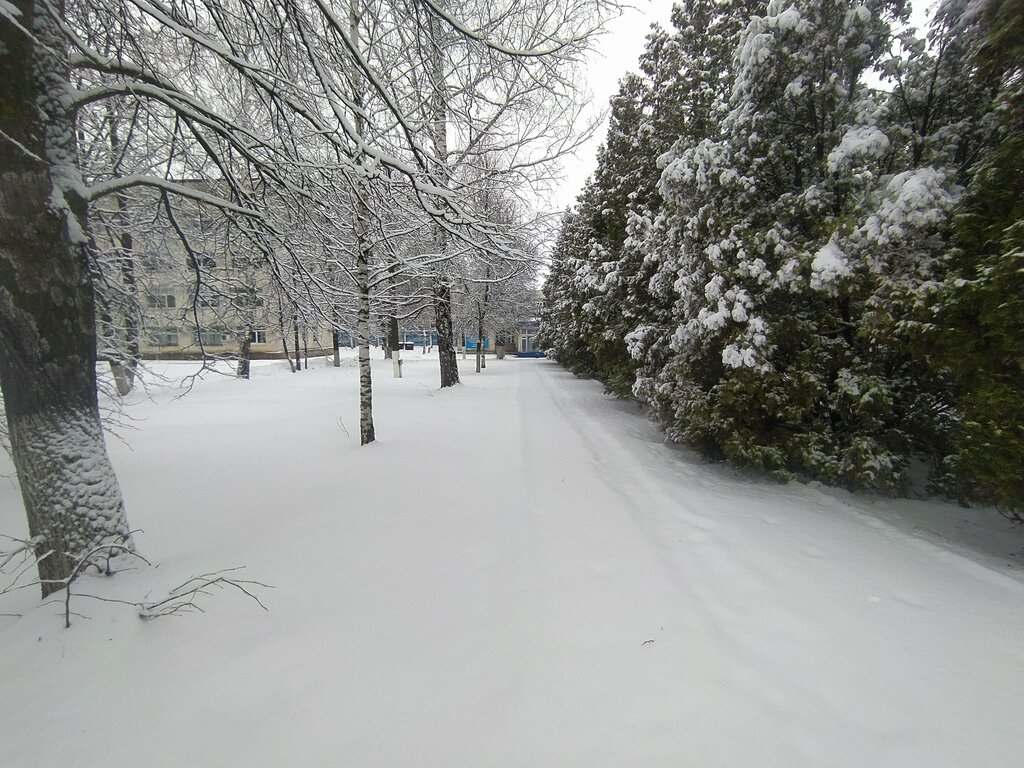 Geçiş noktaları, güvenlik kontrol alanı Центральная проходная Резинотехника, Saransk, foto