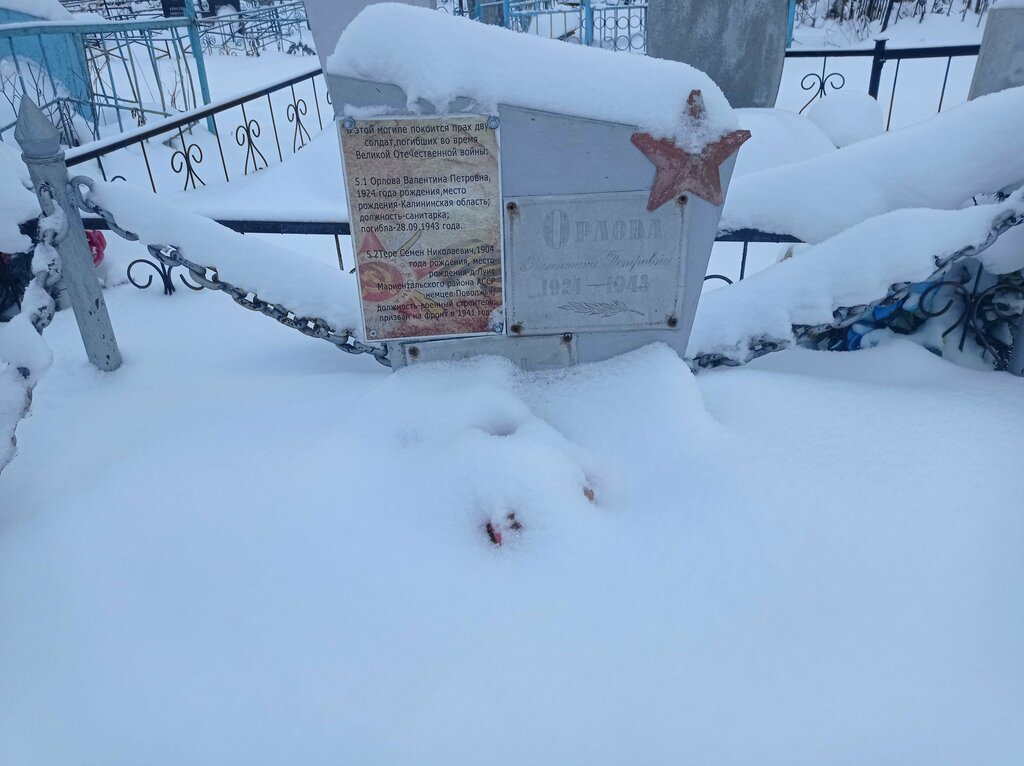 Anıt, heykel Обелиск воинам-землякам, павшим в Великой Отечественной войне, Tverskaya oblastı, foto