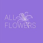 Flower Salon 24/7 (Chertanovskaya Street No:7А), çiçekçiler  Moskova'dan