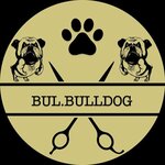 Bul. bulldog (3rd Khoroshyovskaya Street No:17А), evcil hayvan kuaförleri  Moskova'dan