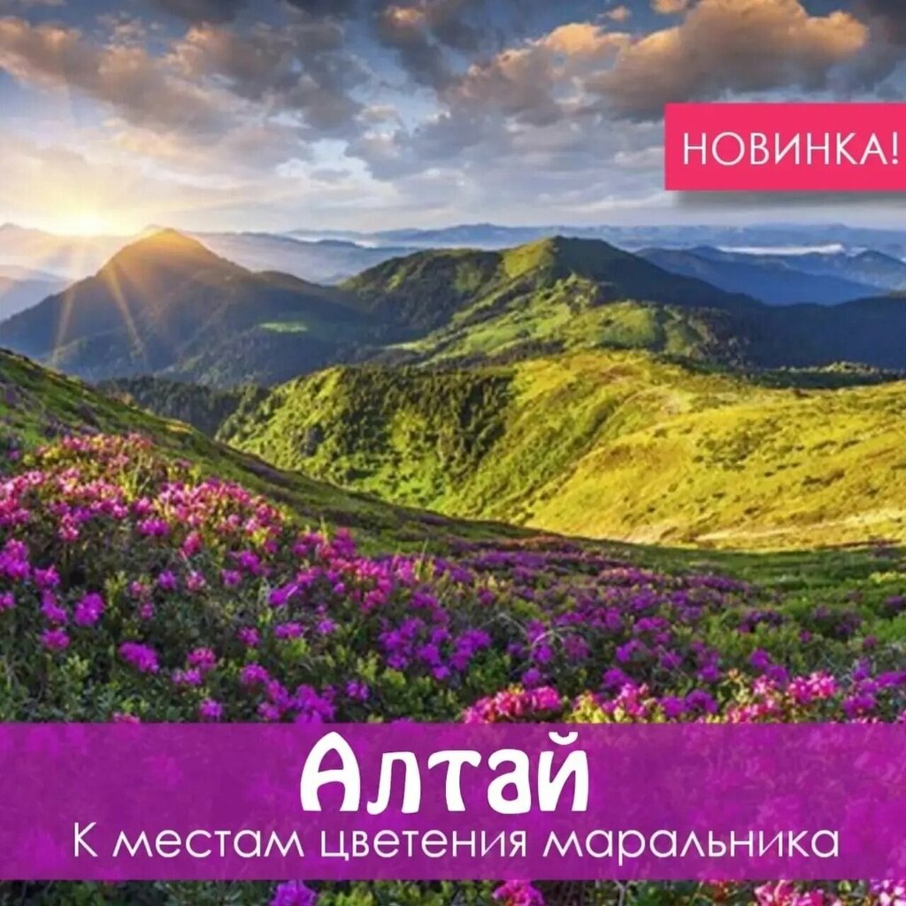 Turizm acenteleri Time to travel, Nijni Tagil, foto