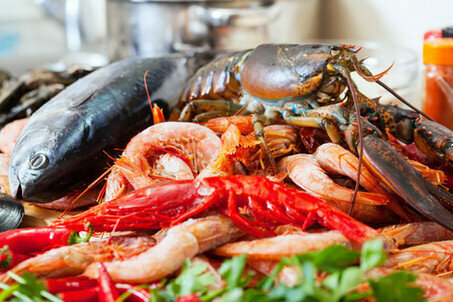 Balık ve deniz ürünleri European Seafood, Dubai, foto