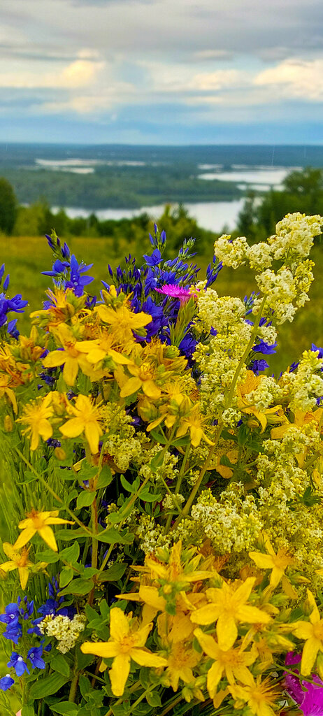 Doğa Вязовские горы, Çuvaşya, foto