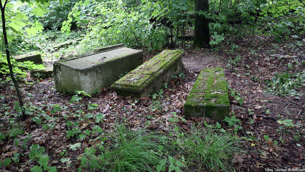 Mezarlıklar Кладбище староверов, Vladimirskaya oblastı, foto