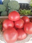 Market (Primorye Territory, 05N-131), pazarlar ve çarşılar  Primoriye'den