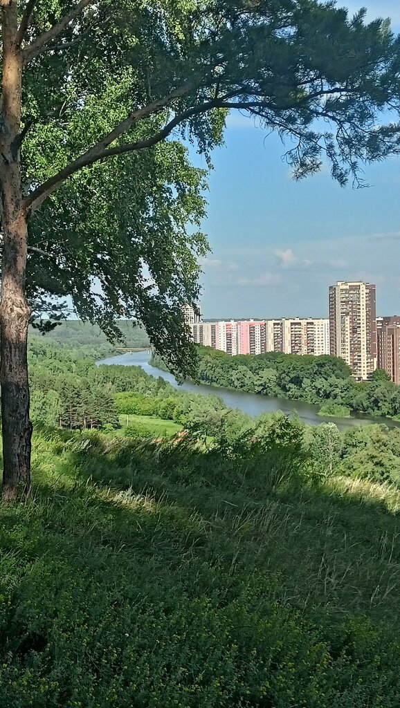 Piknik alanı Место для пикника, Novosibirsk, foto