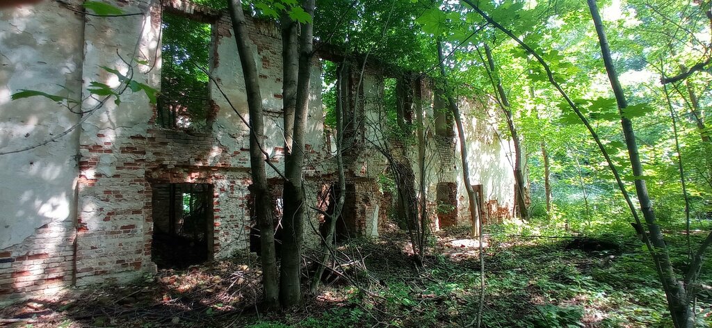 Turistik yerler Усадьба Голубцовых, Riazanskaya oblastı, foto