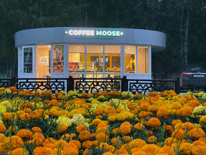 Coffee Moose (No:81, 2-y mikrorayon), kahve dükkanları  Uray'dan