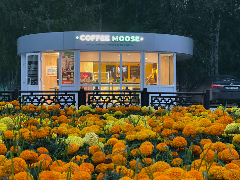 Kahve dükkanları Coffee Moose, Uray, foto