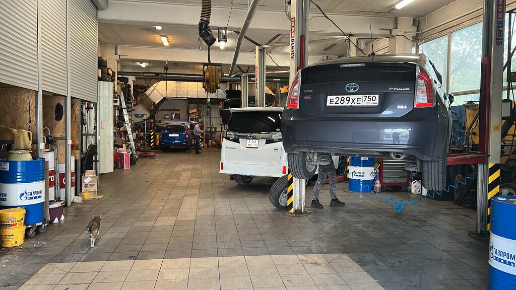 Otomobil servisi Auto service 24, Serpuhov, foto