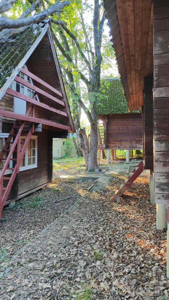 Tatil altyapısı Корпус Ленинградский пансионата Космос, Soçi, foto