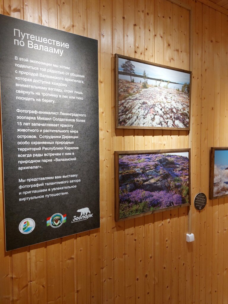 Sergi salonları, galeriler Visit Centre, Karelya, foto