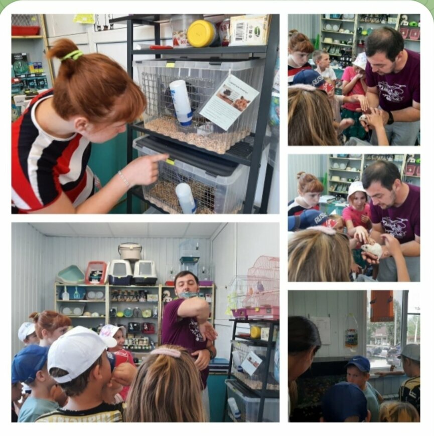 Petshop Кот и пёс, Rostovskaya oblastı, foto