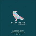 Белая ворона (Molodyozhnaya ulitsa No:8А), açıkhava reklamcılığı  Solikamsk'tan