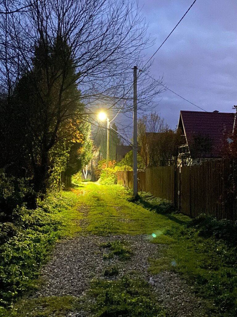 Bahçecilik dernekleri ve kuruluşları Sadovoye Tovarishchestvo Polyanka, Moskova ve Moskovskaya oblastı, foto