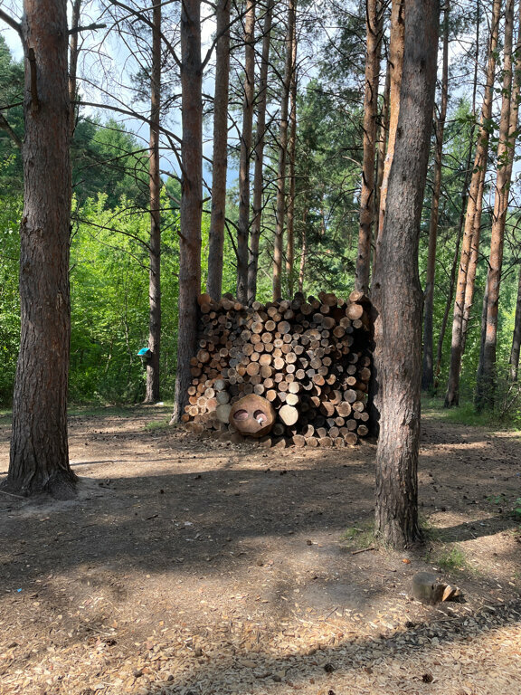 Park, sokak heykeli Кабан, Tiumen, foto