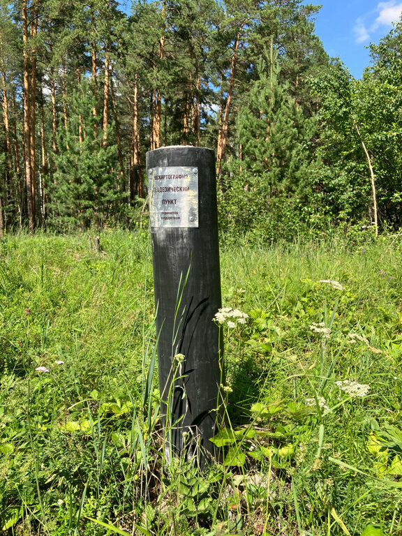 Dağ zirvesi Гора Большой Угор, Sverdlovskaya oblastı, foto