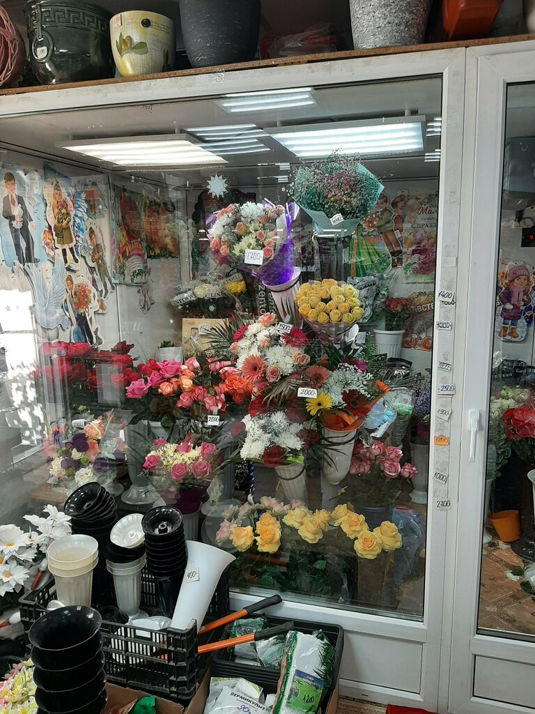 Çiçekçiler Цветы, Veniov, foto