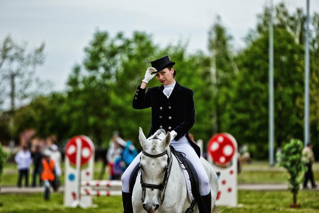 At ve binicilik kulüpleri Zhukovsky Equestrian Club, Başkurdistan, foto