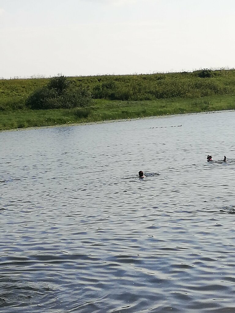 Plaj Дачный пляж, Spask‑Riazanski, foto