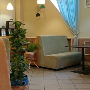 Shikolat (Lenina Street No:8), kafe  Snejinsk'ten