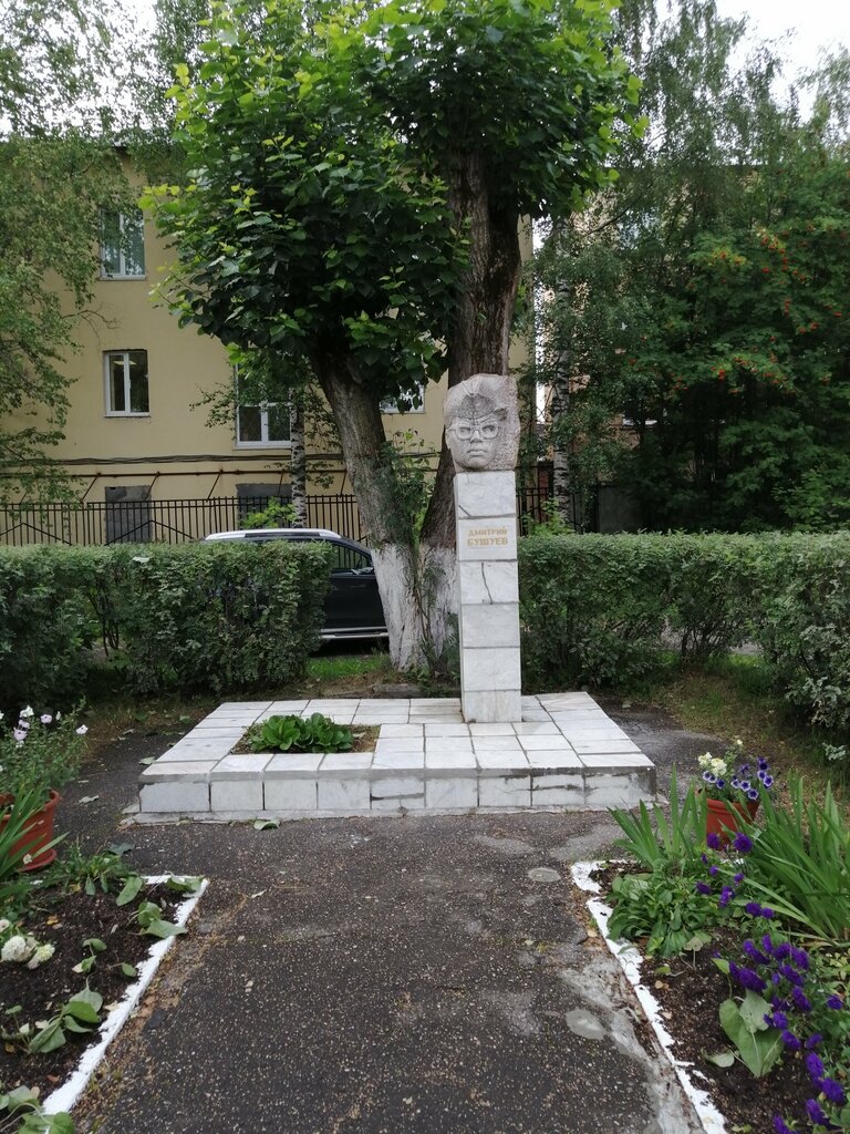 Anıt, heykel Рядовой Д.Ф. Бушуев, Uhta, foto