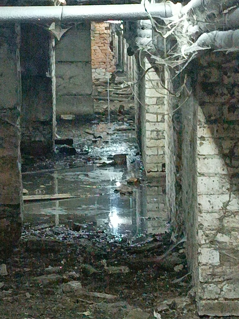 Konut servisleri kuruluşları Авангард, Karaçay‑Çerkez Cumhuriyeti, foto