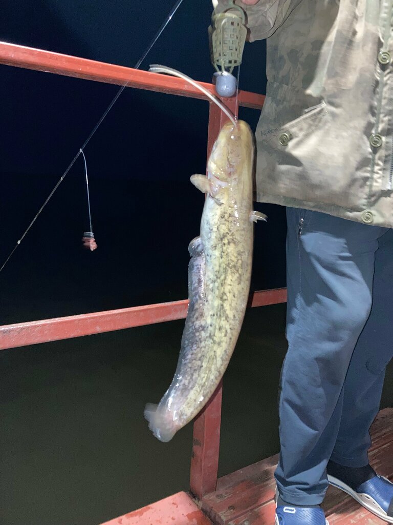 Avcılar ve balıkçılar Домик для Рыбаков, Astrahanskaya oblastı, foto