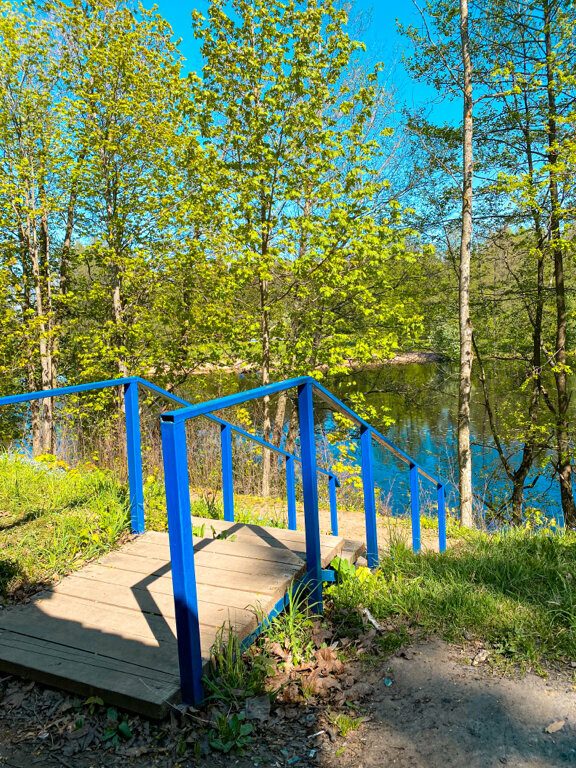 Kültür ve eğlence parkları Богдановский парк, Pskovskaya oblastı, foto