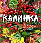 Kalinka Flowers (Stroginsky Boulevard No:26к2), çiçekçiler  Moskova'dan