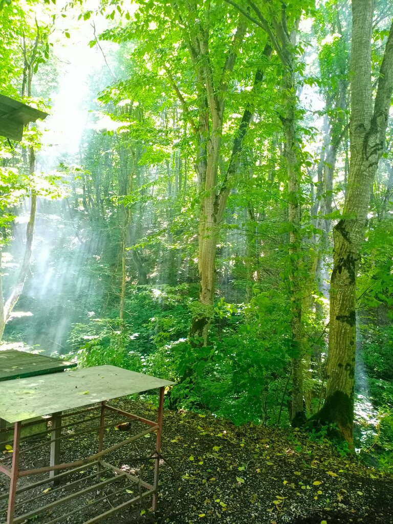Konuk evi Kipyachiy, Krasnodarski krayı, foto