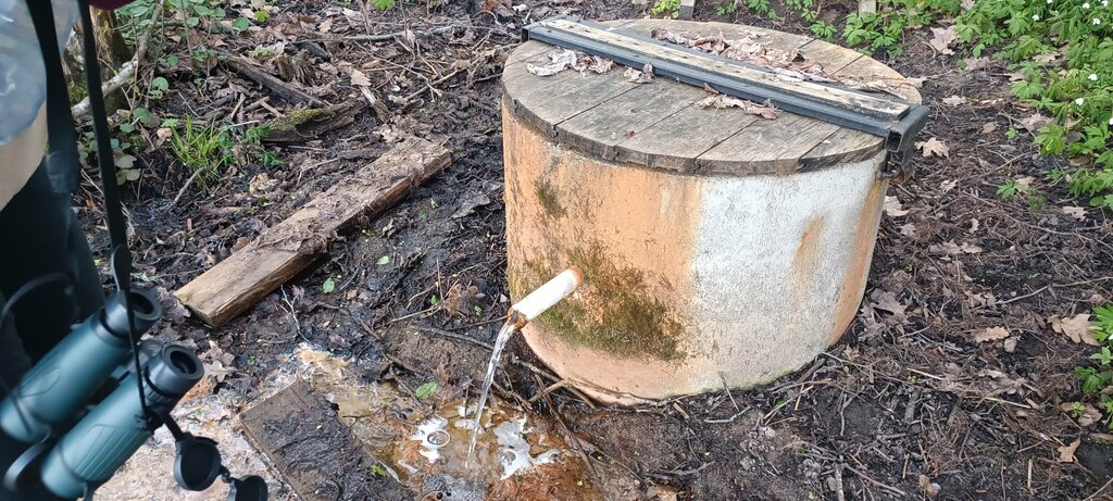 Pınar, çay Spring, stream, Smolenskaya oblastı, foto