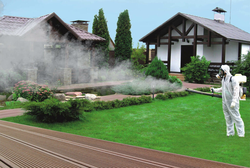 Haşere ilaçlama firmaları Cleen house, Stupino, foto