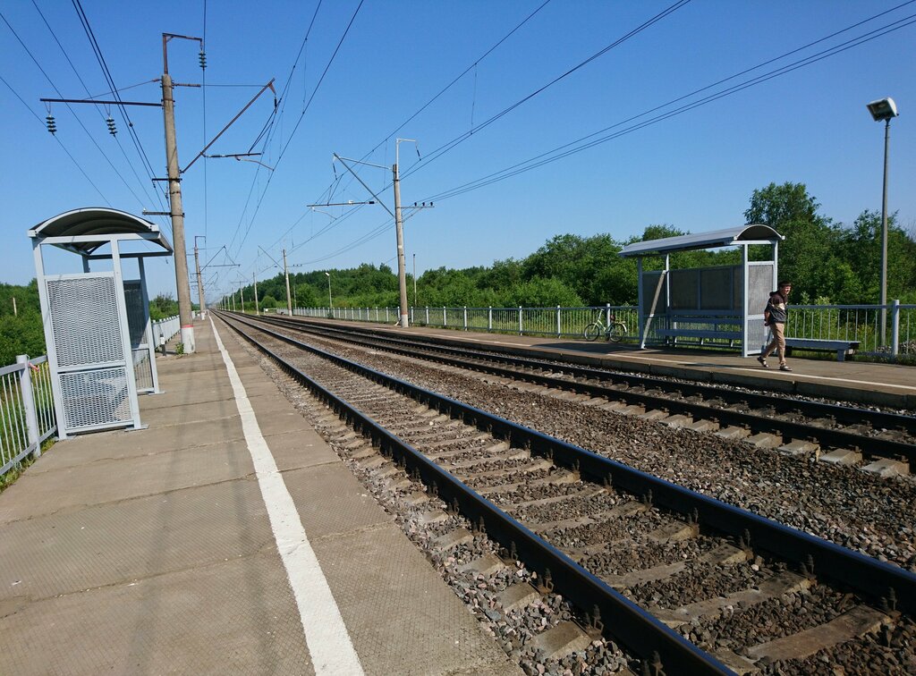 Tren istasyonu 622 км, Vologodskaya oblastı, foto
