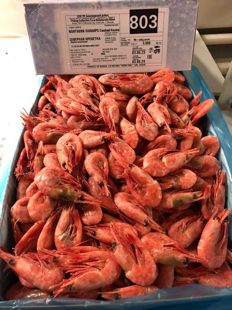 Balık ve deniz ürünleri Red caviar, Nijni Novgorod, foto