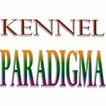 Kennel chihuahua Paradigma (Yaroslavskoye Highway No:6к2), evcil hayvan yetiştiricileri  Moskova'dan