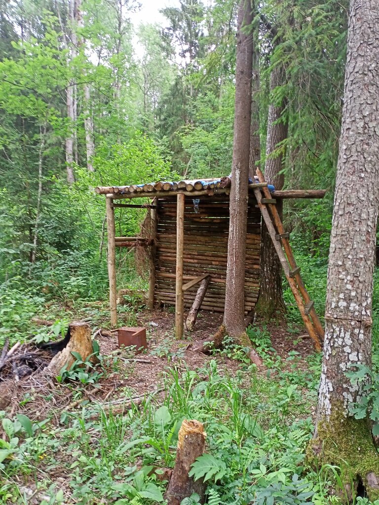 Çardak Gazebo, Novgorodskaya oblastı, foto