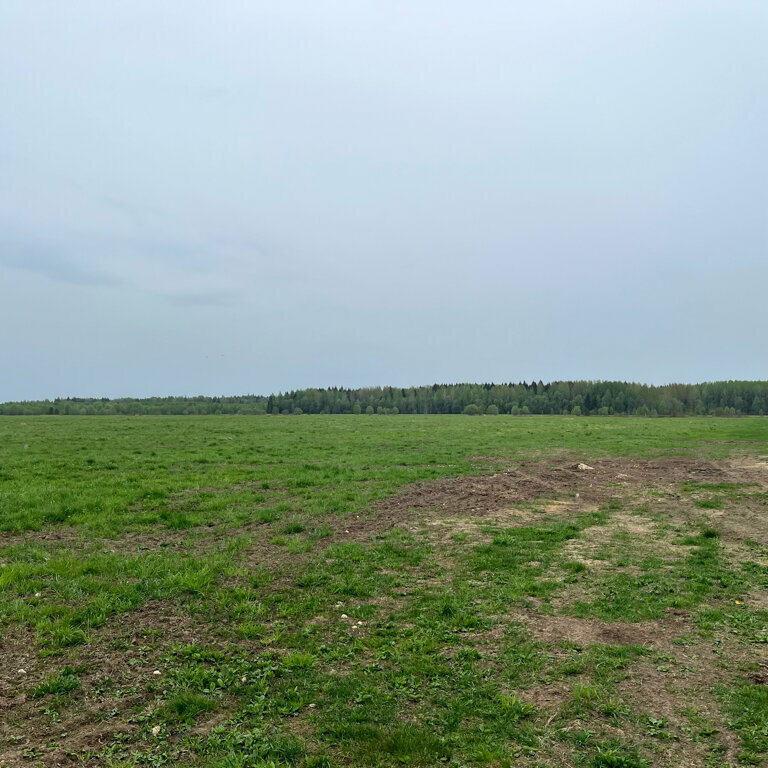 Hava meydanı Аэродром Кузнецово, Saint‑Petersburg ve Leningradskaya oblastı, foto