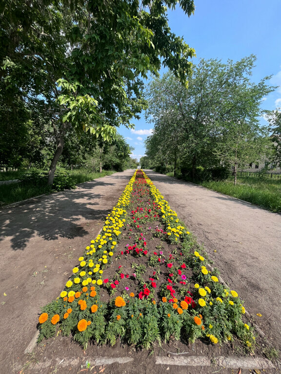 Kültür ve eğlence parkları сквер имени Петра Лазаревича Войкова, Magnitogorsk, foto
